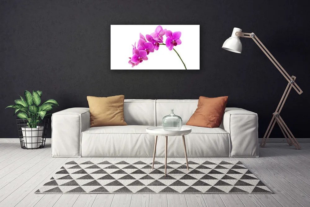 Obraz na plátně Vstavač Květ Orchidej 140x70 cm