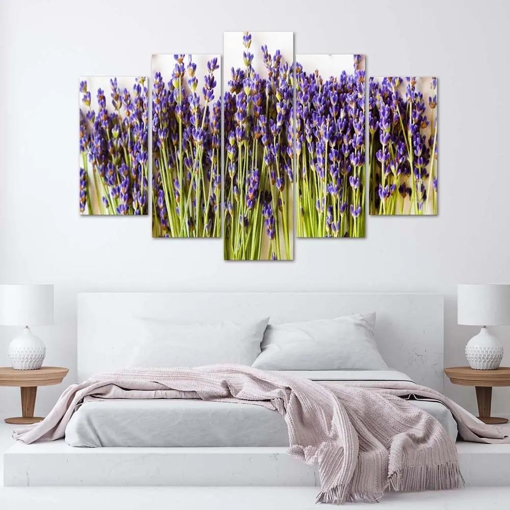 Obraz na plátně pětidílný Levandulové květy příroda - 150x100 cm