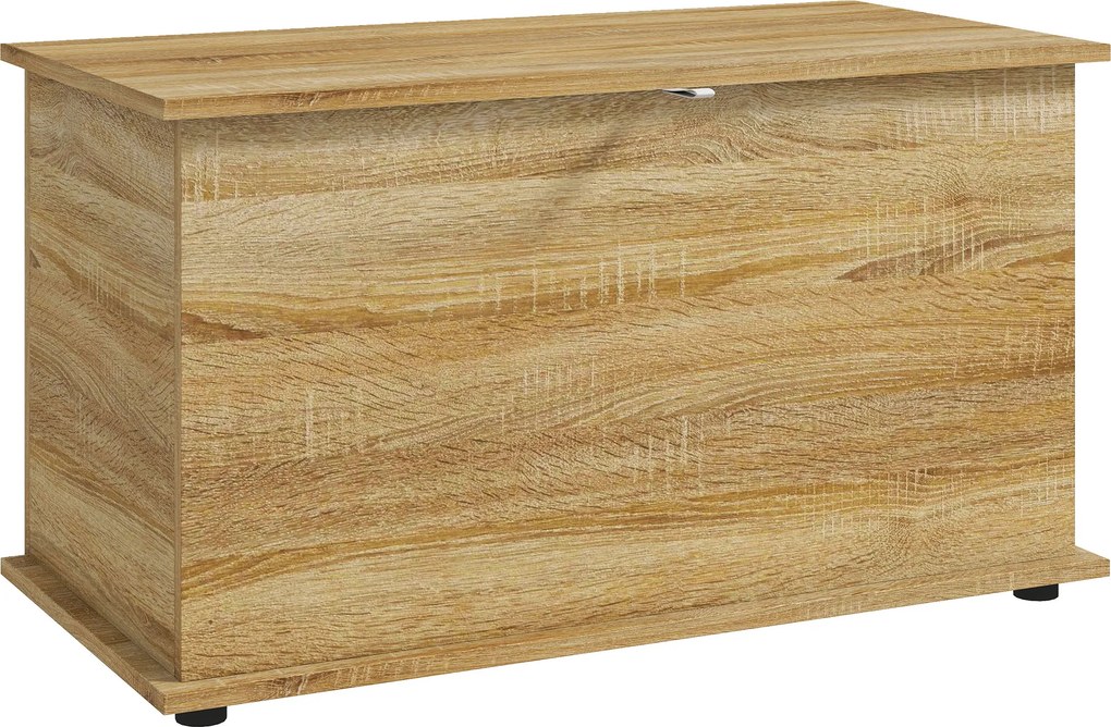 HOMCOM úložná lavice se sklápěcím víkem a bezpečnostními panty, 80 x 40 x 45 cm, přírodní