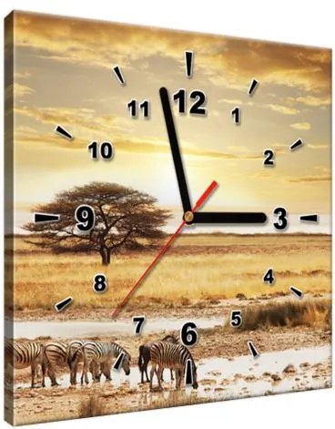 Tištěný obraz s hodinami Zebry na Safari 30x30cm ZP1346A_1AI