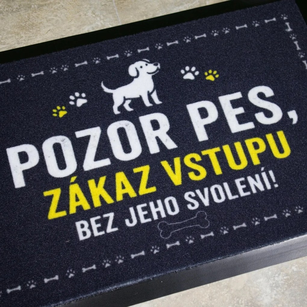 Mercury Flooring, Rohožka se psím svolením 40x60 cm - na ven i na doma, 40x60, šedá