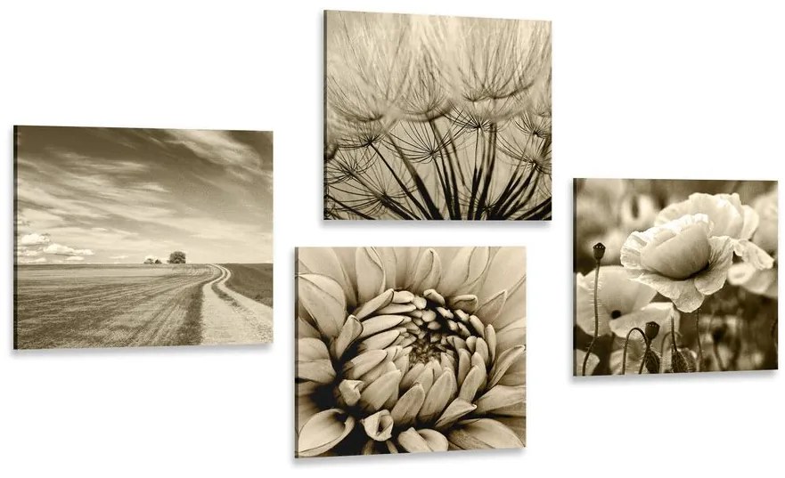 Set obrazů pole s květinami v sépiovém provedení