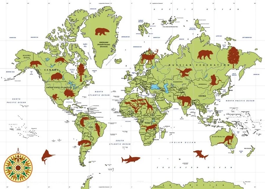 Tapeta mapa se zvířaty - 225x150 cm