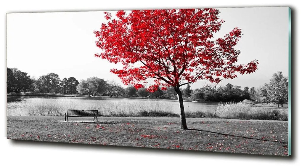 Fotoobraz na skle Červený strom
