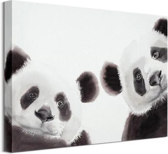 Obraz na plátně Dvě pandy Del Valle Aimee 40x30cm WDC12022