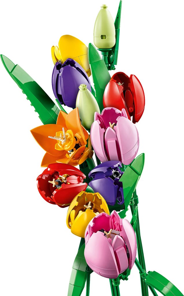 LEGO® Botanicals 11501 Kytice tulipánů
