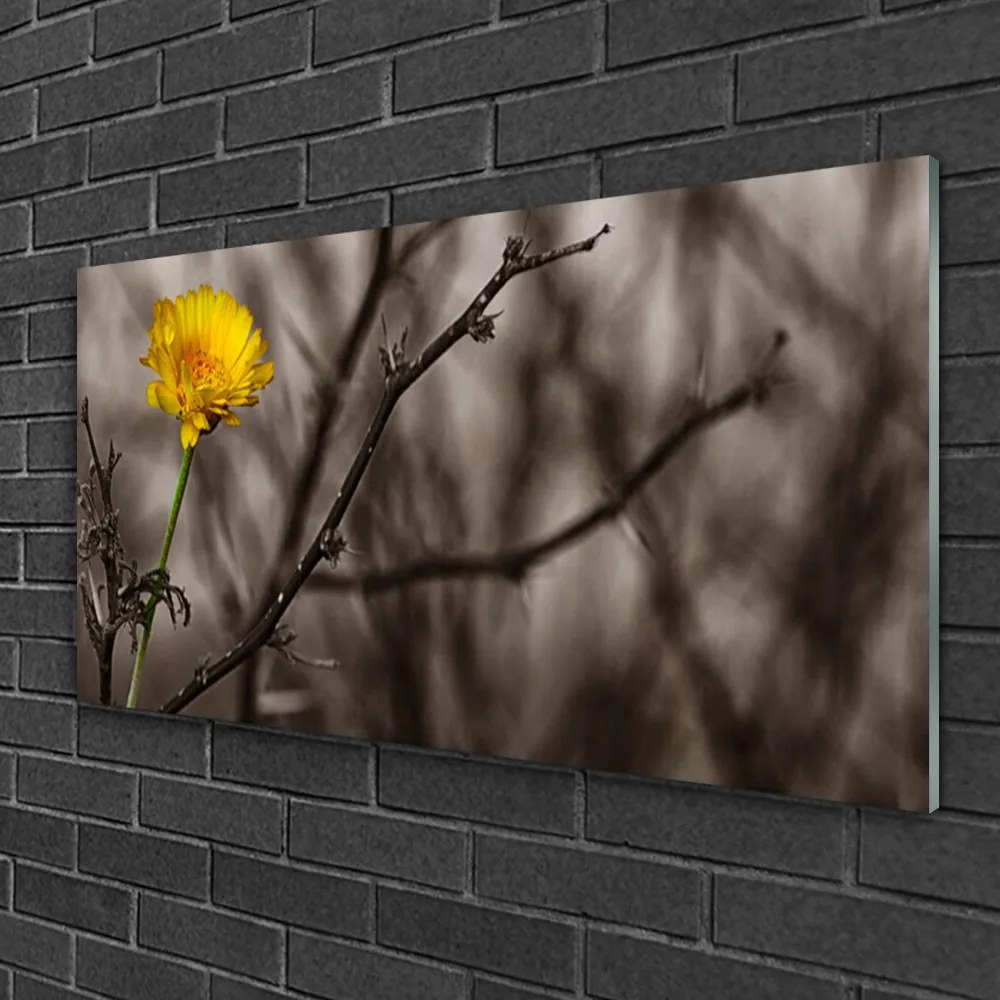 Obraz na skle Větev Květ 100x50 cm