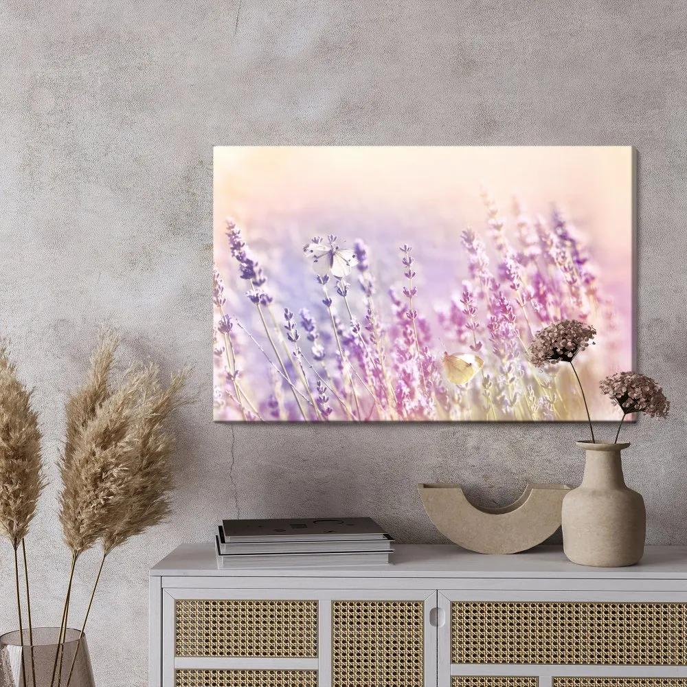 Obraz Květy Levandule Zalité Slunečním Světlem Nedostatek Nedostatek Plátno Canvas 90x60