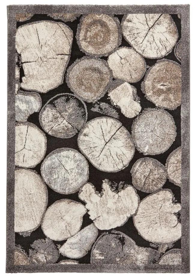 Koberec s motivem dřeva Think Rugs Woodland, 120 x 170 cm