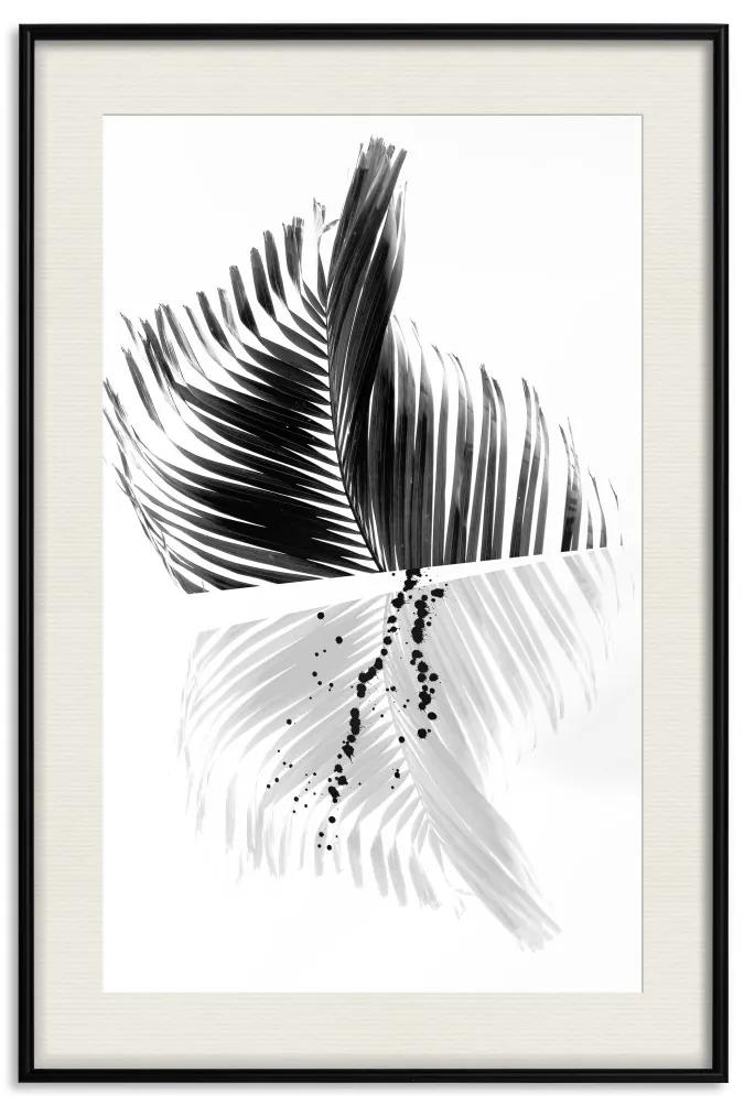 Plakát Černobílá palma