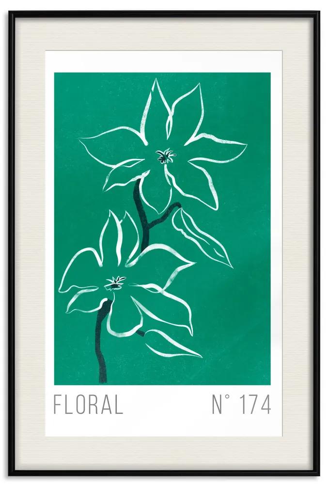 Plakát Kresba květin - anglické nápisy a bílé rostliny na zeleném pozadí
