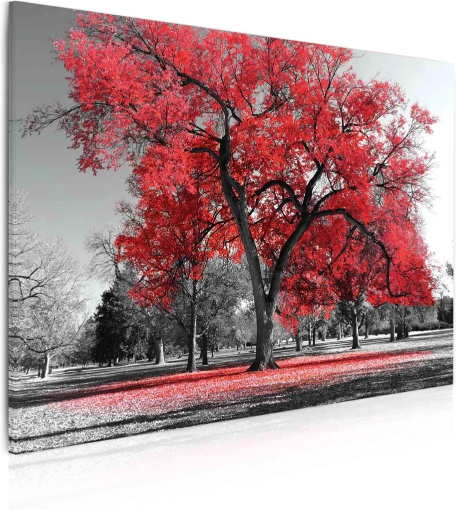 Malvis Malvis Obraz podzim v parku - červený  30x20 cm