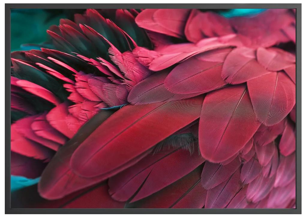 DecoKing - Nástěnný plakát - Feathers - Red