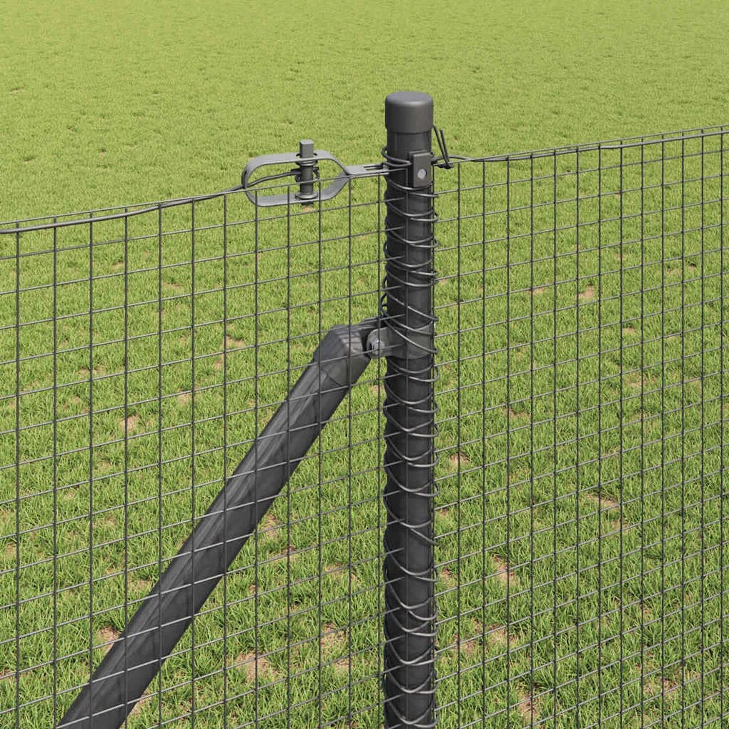 Svařované drátěné ploty s hroty 50 x 1,2 m Ocel potažená PVC 3352239