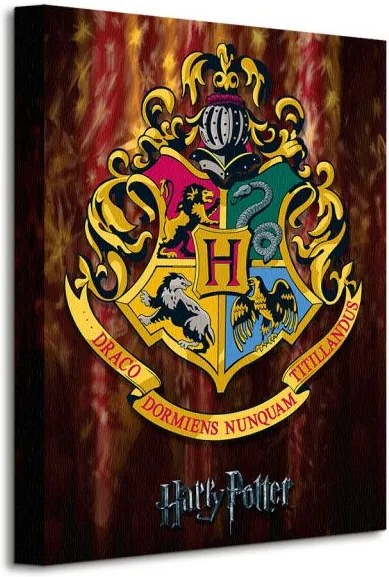 Obraz na plátně Harry Potter (Hogwarts Crest) 30x40cm WDC92245