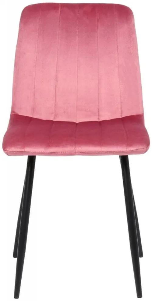 Bhm germany Jídelní židle Dijon, samet, růžová