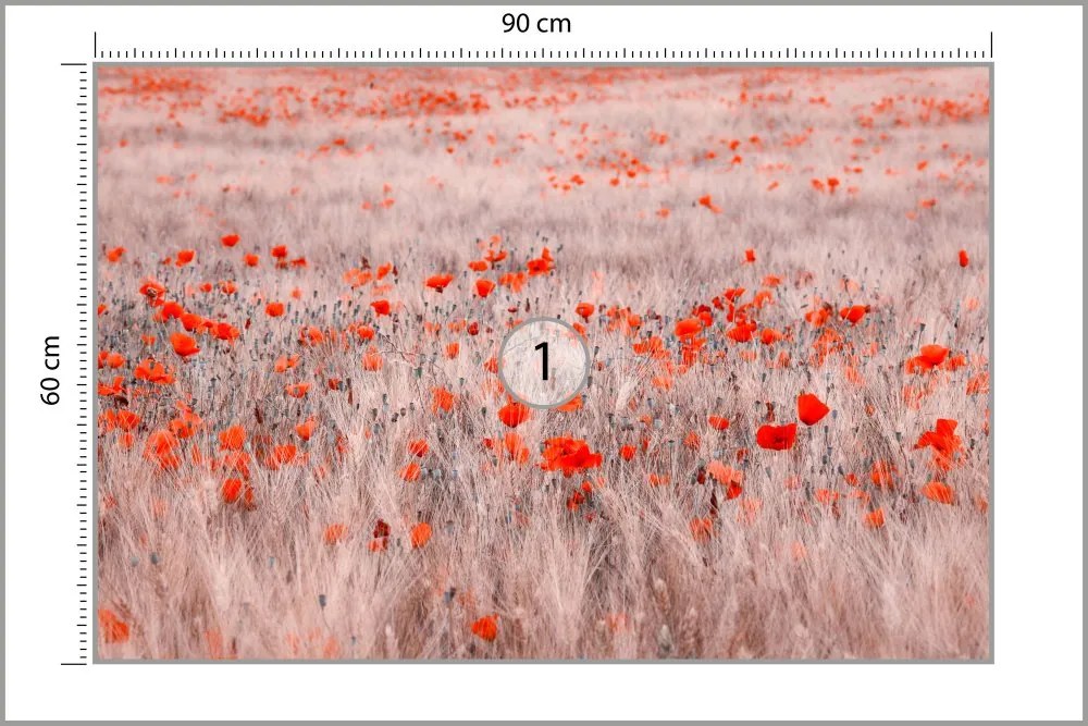 Fototapeta Poppy Field Hladký vinyl 400x280