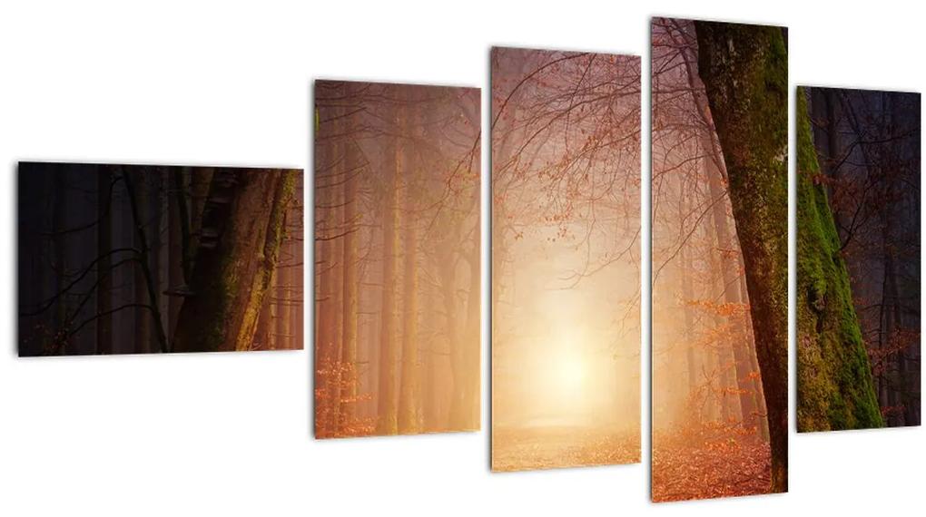 Obraz podzimního lesa v mlze (110x60 cm), 40 dalších rozměrů