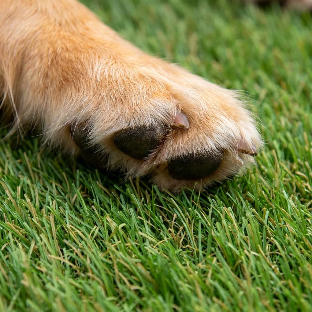 Artificial grass specialists, Umělá tráva Princess, vyříznout kruh, šíře 4m, zelená