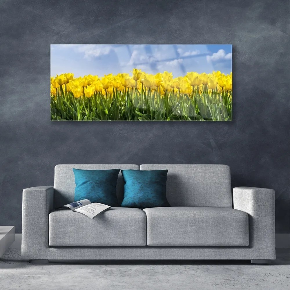 Plexisklo-obraz Tulipány Květiny Rostlina 125x50 cm