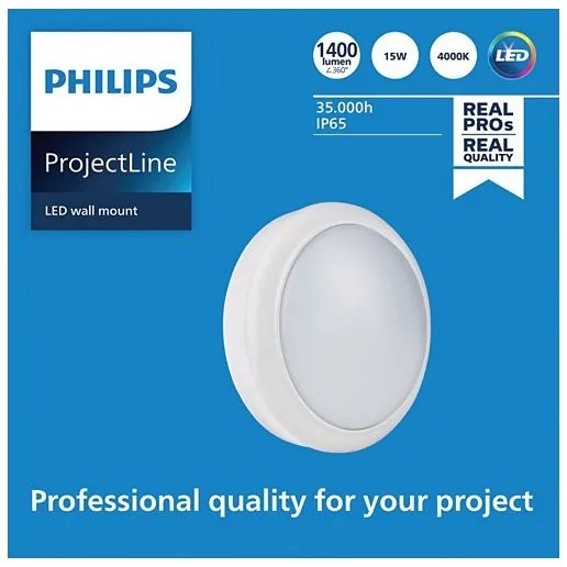 Philips - LED Nástěnné svítidlo PROJECTLINE LED/15W/230V IP65