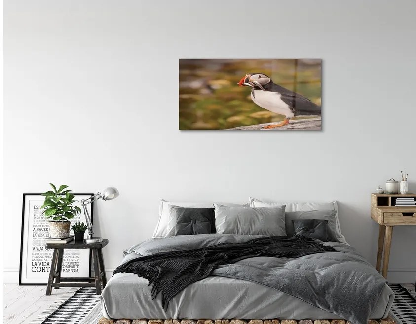 Obraz na skle Papoušek 100x50 cm