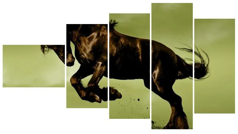 Obraz statného koně  (110x60 cm), 40 dalších rozměrů