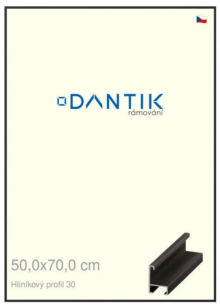 DANTIK rámeček 50x70 | ALU profil 6030 Černá matná (Plexi Čiré)