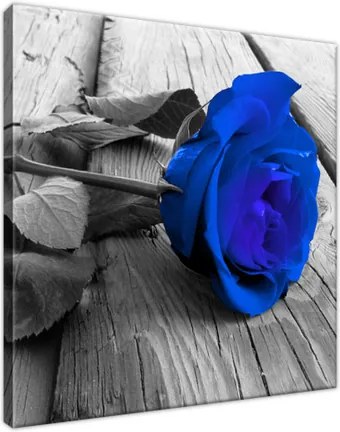 Tištěný obraz Modrá růže na podlaze 30x30cm 2214A_1AI