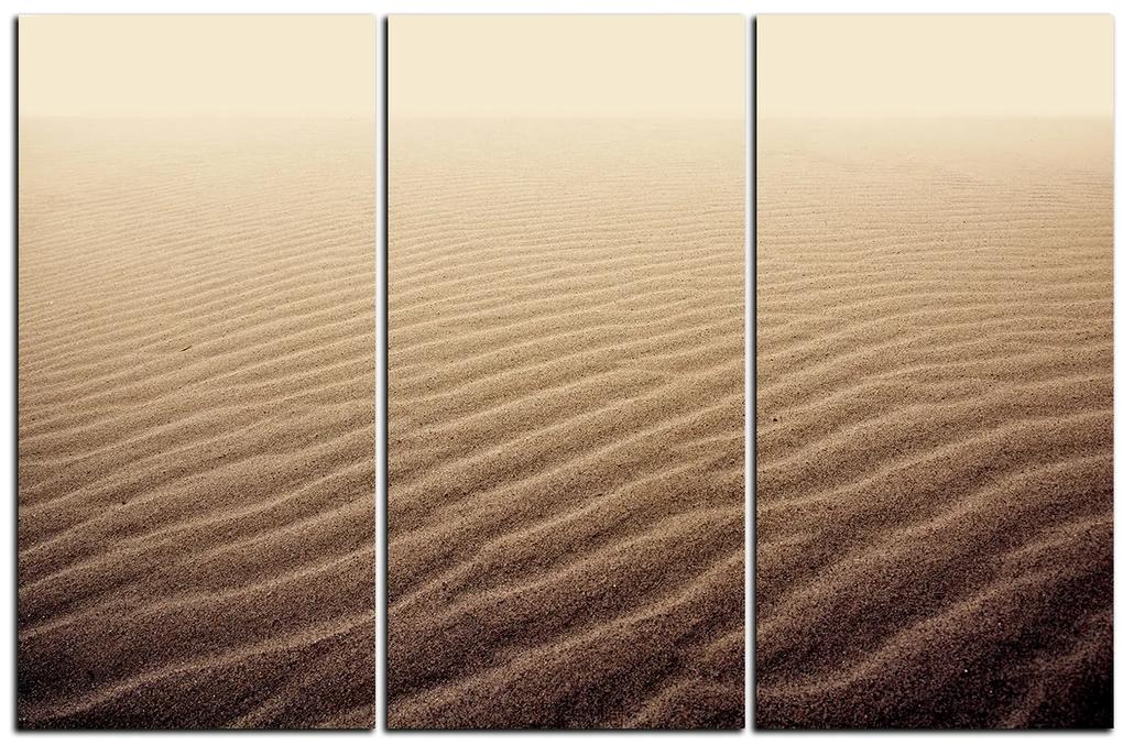 Obraz na plátně - Písek v poušti 1127B (105x70 cm)