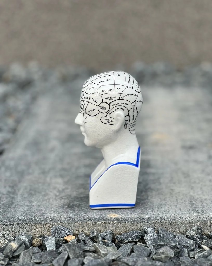 Porcelánová figurka malá - Frenologická lebka