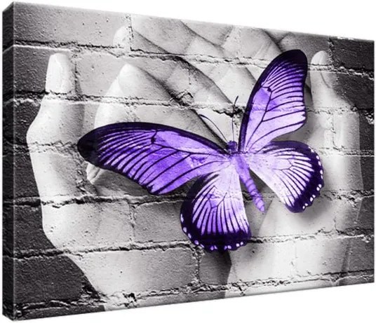 Obraz na plátně Fialový motýl na dlaních 30x20cm 2389A_1T