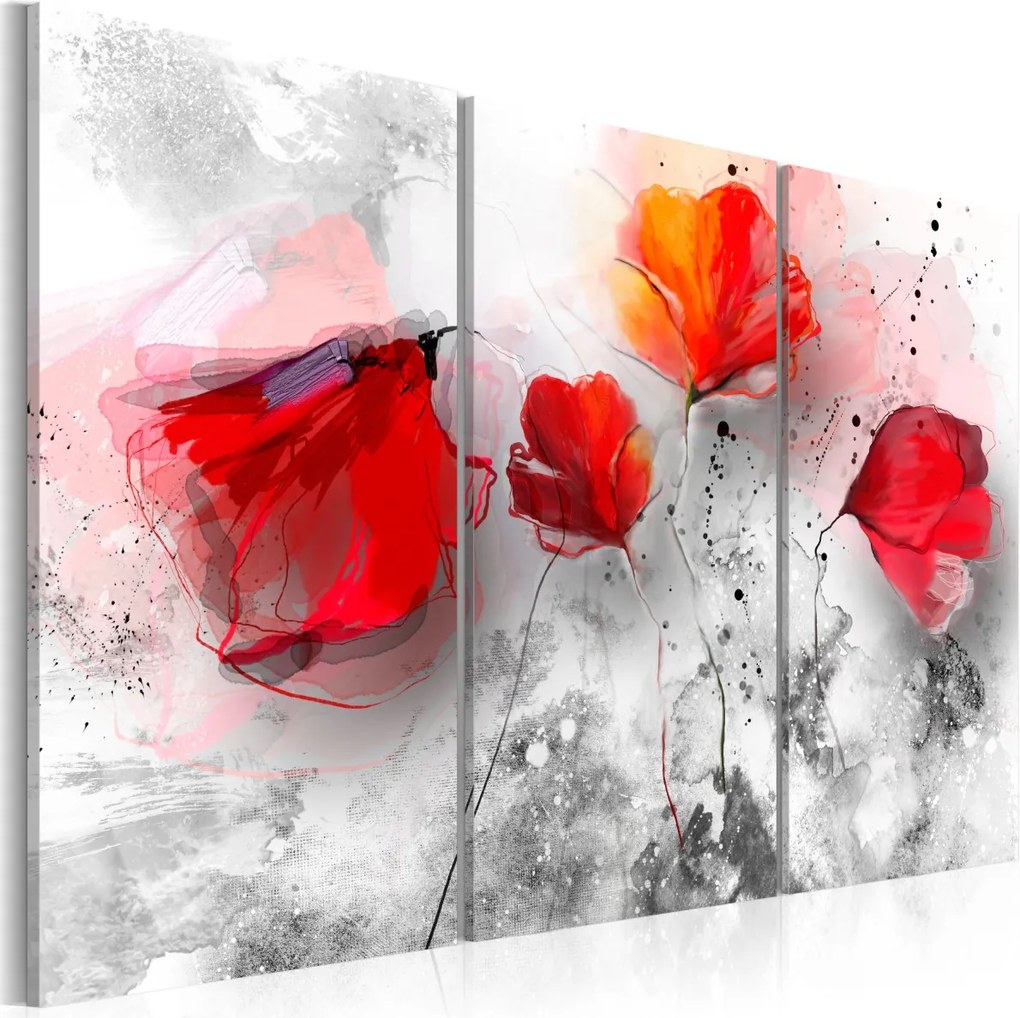 Obraz - Poppies with finesse - 60x40