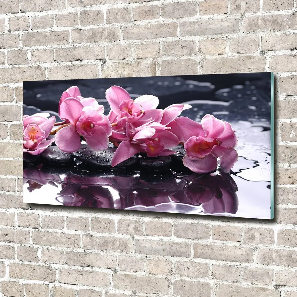 Wallmuralia Foto obraz sklo tvrzené Růžová orchidej 140x70 cm