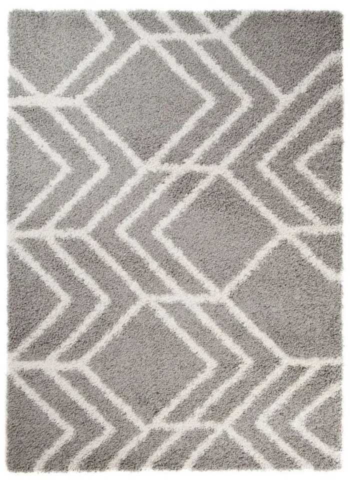 Kusový koberec Shaggy Amare šedý 2, Velikosti 80x150cm