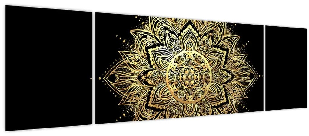 Obraz - Mandala bohatství (170x50 cm)