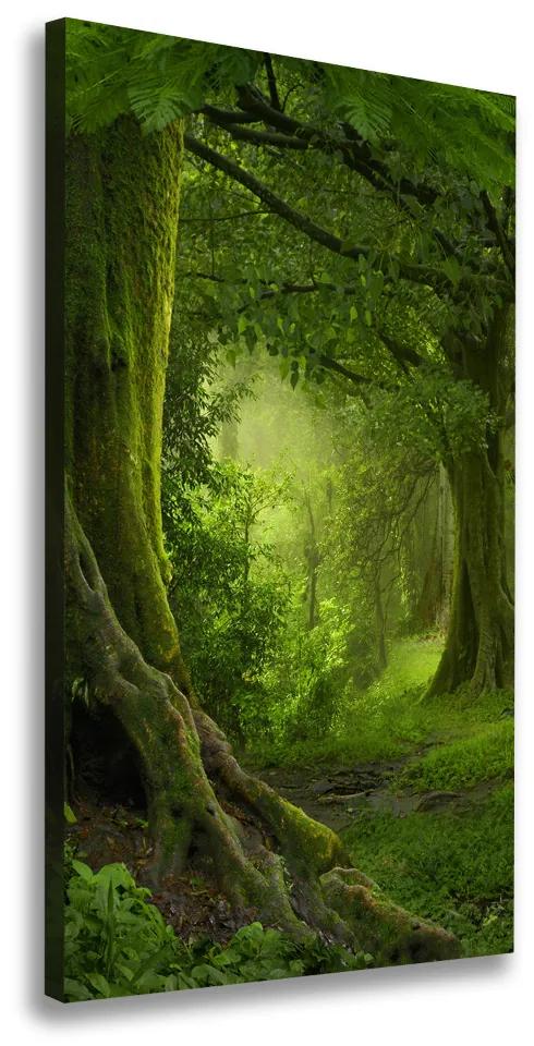Wallmuralia Vertikální Foto obraz na plátně Tripická džungle 50x100