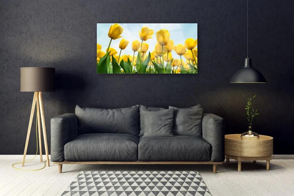 Obraz na skle Tulipány Květiny Rostlina 120x60 cm