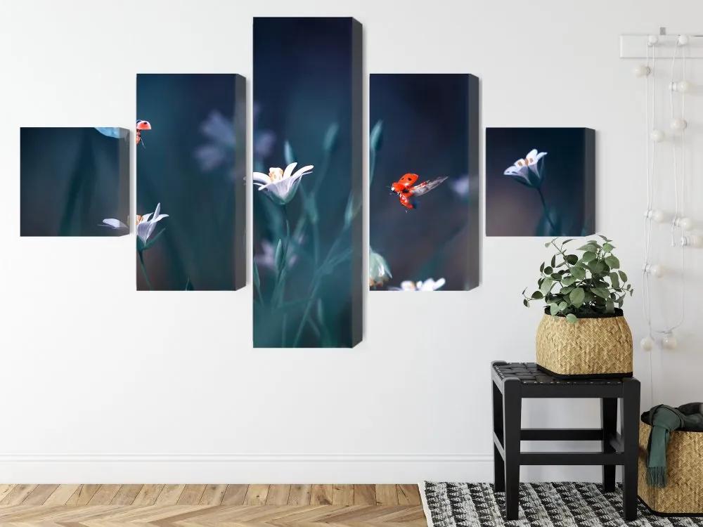 Vícedílný obraz Berušky A Květy V Makro Měřítku Nedostatek Nedostatek Plátno Canvas 150x90