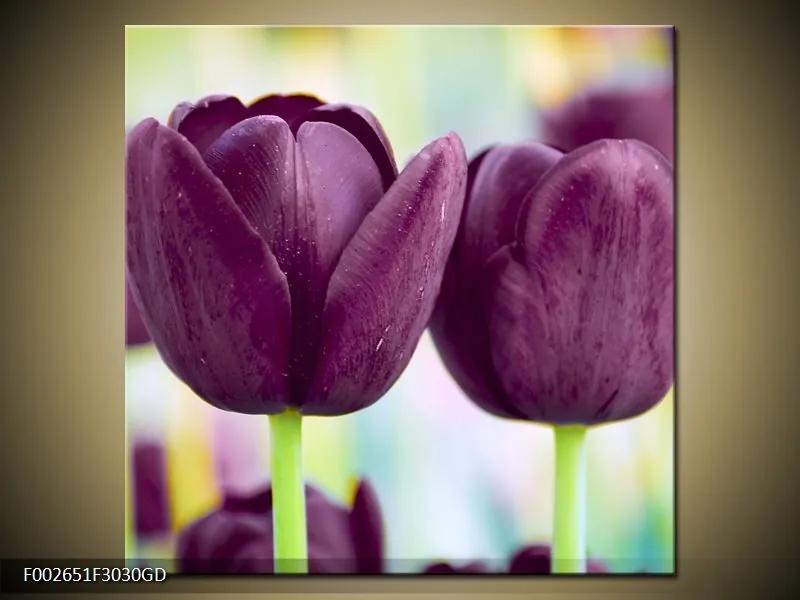 Obraz fialových tulipánů  (), 40 dalších rozměrů