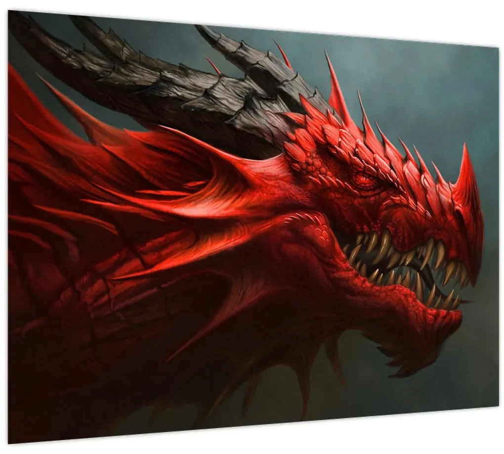 Obraz - Drak (70x50 cm) | BIANO