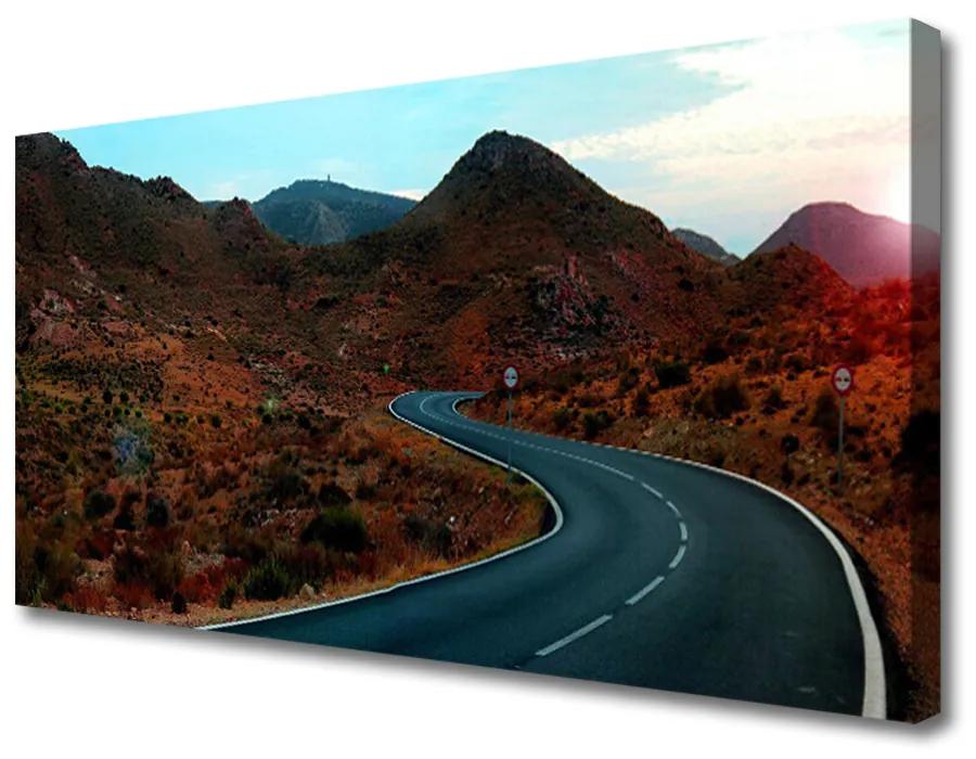 Obraz na plátně Cesta Hory Poušť 125x50 cm