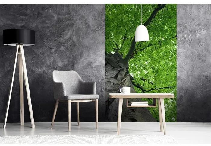 DIMEX | Vliesová fototapeta na zeď Koruna stromu MS-2-0101  | 150 x 250 cm | šedá, zelená