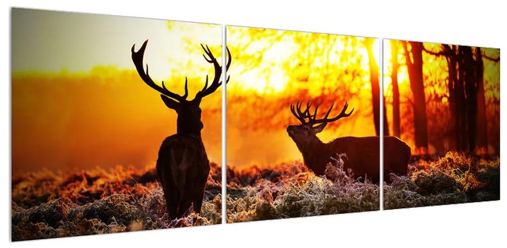 Obraz jelenů (150x50 cm)