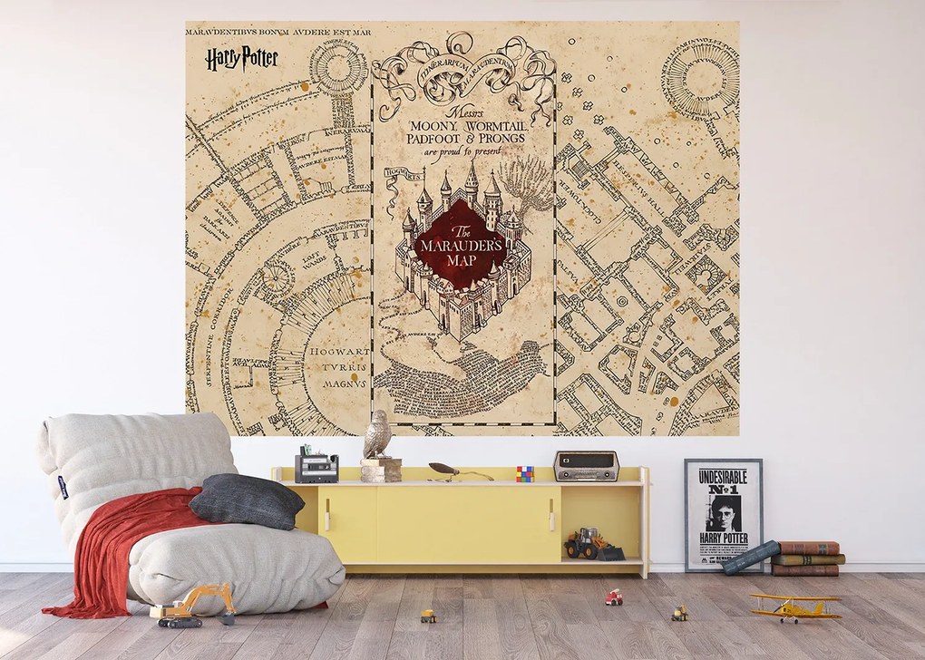 Dětská vliesová fototapeta na zed' Harry Potter a Pobertův Plánek | 252 x 182 cm | DFTDXL1977