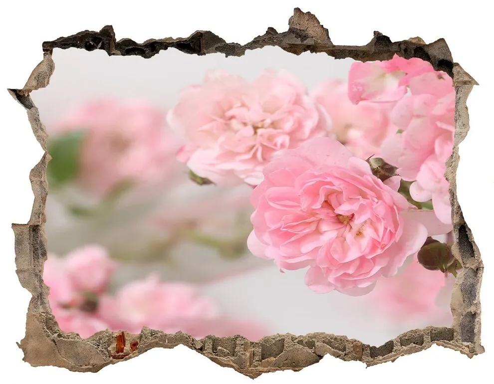 Wallmuralia Samolepící nálepka na zeď Divoké růže 95x64 cm