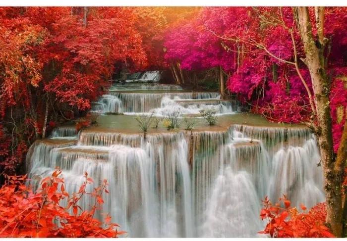 DIMEX | Samolepicí vliesová fototapeta na zeď Vodopád v deštném pralese MA-5-0072 | 375 x 250 cm | červená, bílá, růžová