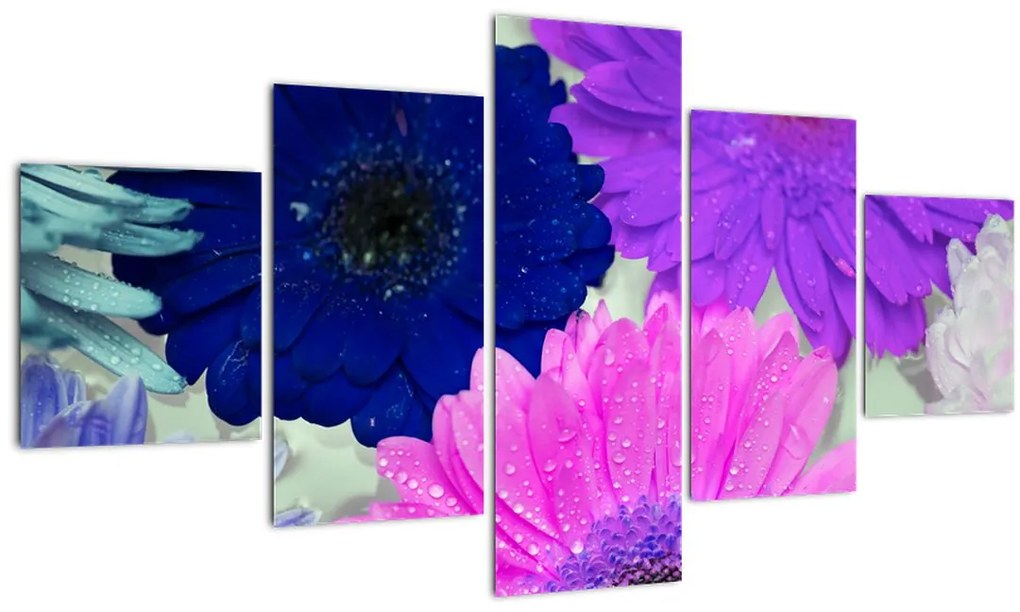 Obraz barevných květin (125x70 cm)