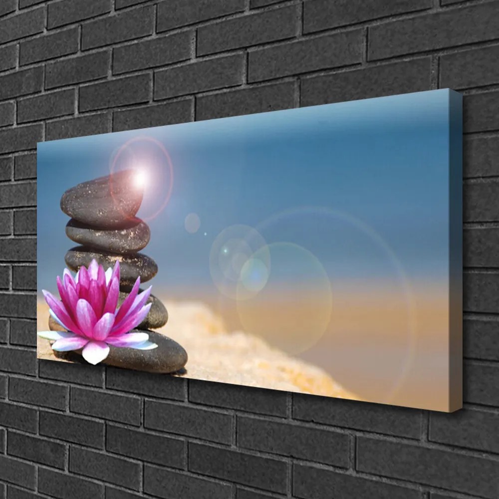 Obraz na plátně Kameny Květ Umění 120x60 cm