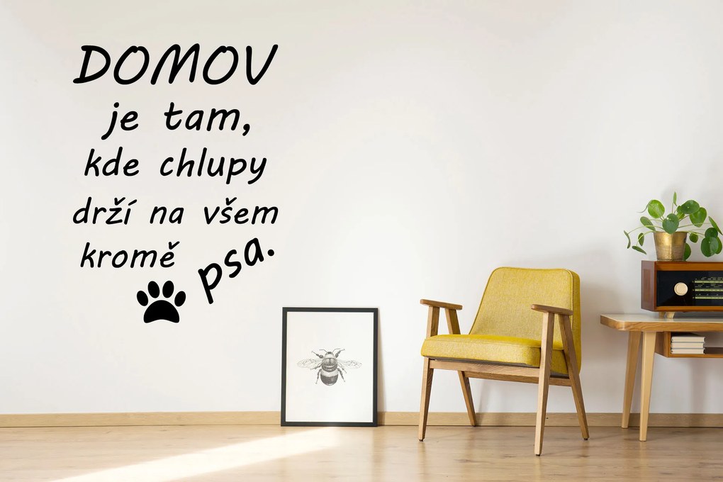 Samolepka na zeď Kde je pes Barevná varianta: Černá, Velikost (šířka x výška): 30x40cm